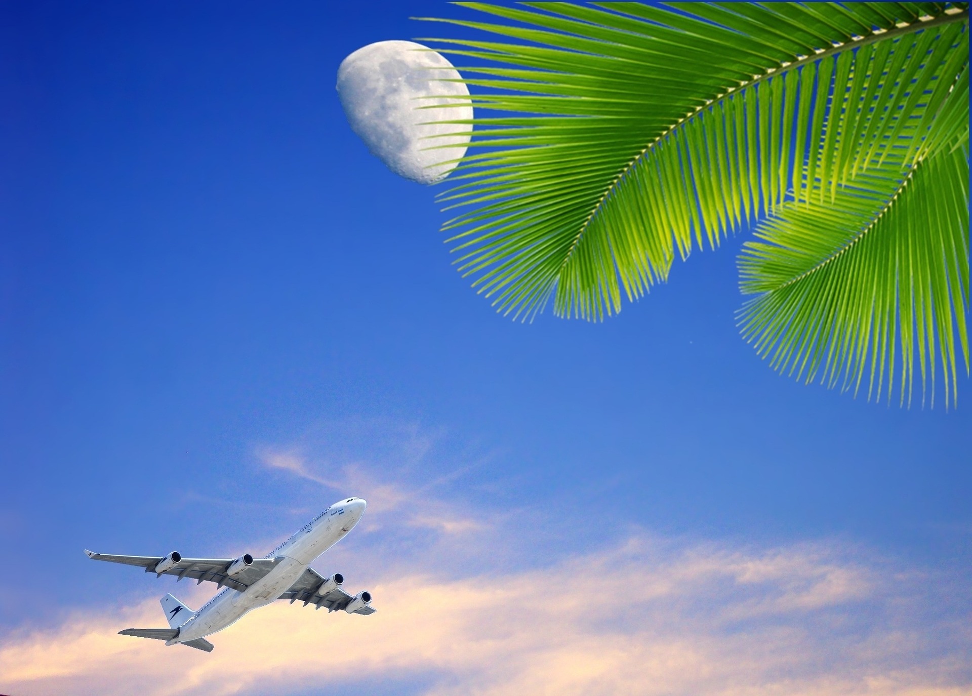 Fly and Buy - E-Newsletter