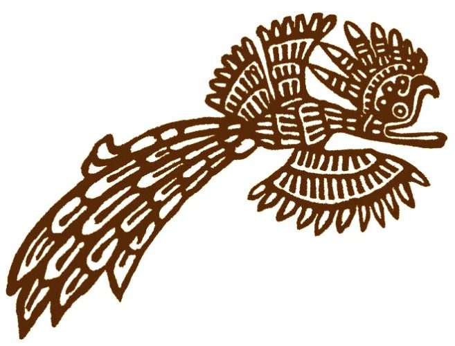 El quetzal, el ave más bella de América. - E-Newsletter